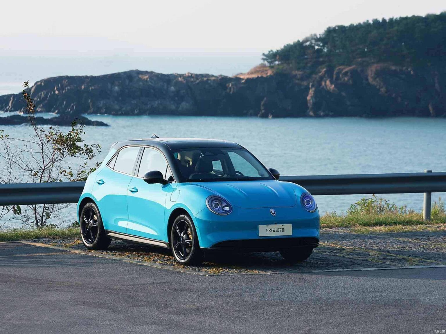 Coche eléctrico Ora - AI Car Global